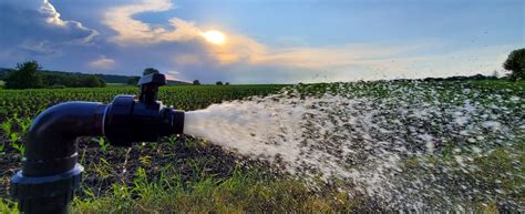Полезные советы по эксплуатации систем капельного орошения от специалистов Ирригатор Украина