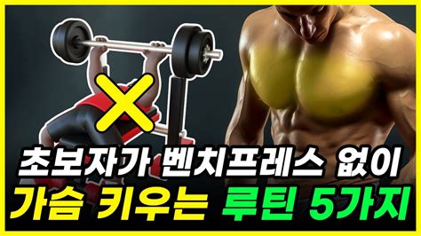 가슴 운동 루틴 5가지 헬스 초보자가 벤치프레스 없이 가슴 근육 키우는 가장 효과적인 방법 [ 대흉근 체스트프레스 펙덱플라이 푸쉬업 팔굽혀펴기