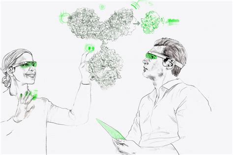 Differences Between Monoclonal Antibodies And Recombinant Monoclonal
