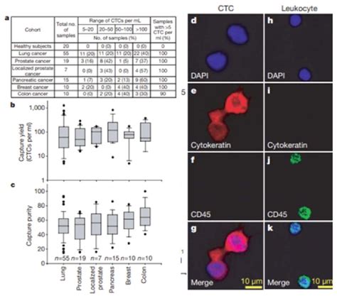 A Enumeration Of CTCs From Cancer Patients A Summary Of Samples And Download Scientific