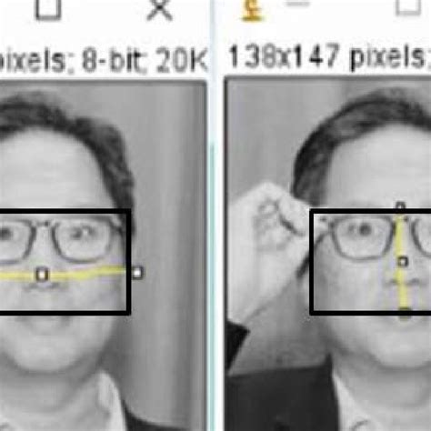 Conceptual Framework Of Research 2 2 1 The Fwhr Male Ceos Affects Randd Download Scientific Diagram