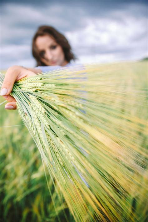 Девушка в синем платье на пшеничном поле Фотосессия девушки на природе Фотосессия Пшеничные