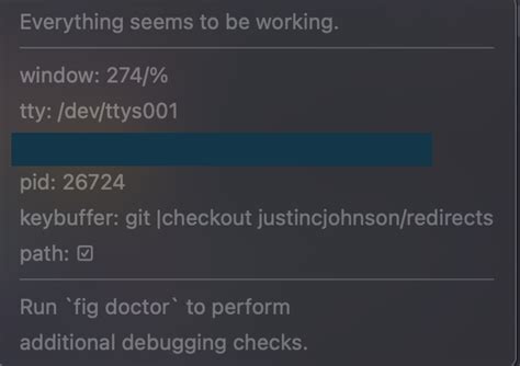 Fig Interprets Shell Autosuggestions As Typed Text · Issue 1490