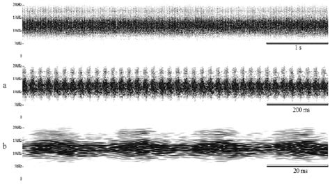 The Calling Song Spectrogram A B Faster Spectrograms Download Scientific Diagram