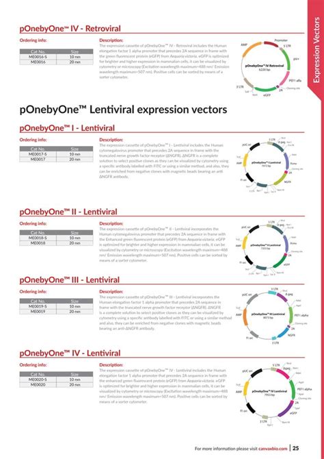 Mammalian And Bacterial Expression Pdf