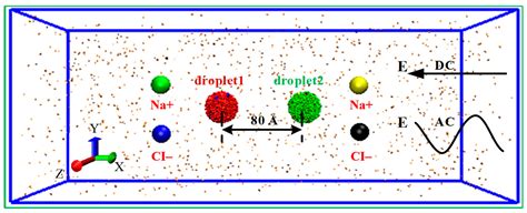 Coalescence And Break Up Behaviors Of Nanodroplets Under Ac Electric Field