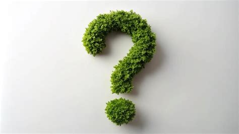 A Question Mark Is Placed In A Green Leaf Premium Ai Generated Image