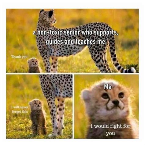 The Excel Humor Instagram Page Shares 110 Humorous And Relatable