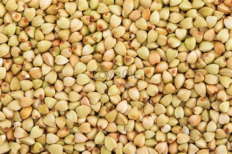 곡물 메밀 사진 무료 다운로드 Lovepik