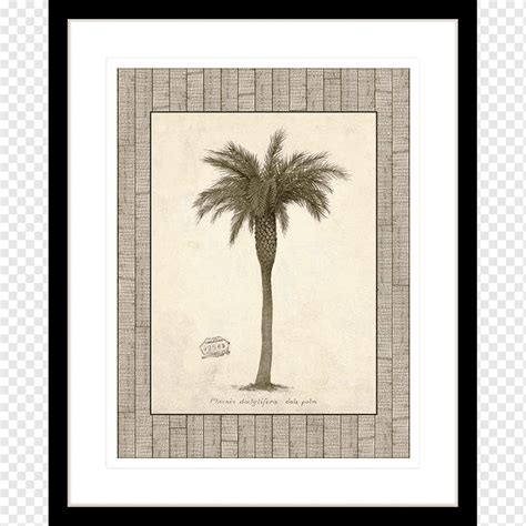 프레임 로코코 트리 아트 데코 작품 고양이 야자 인테리어 디자인 서비스 그림 사진 프레임 Png Pngwing