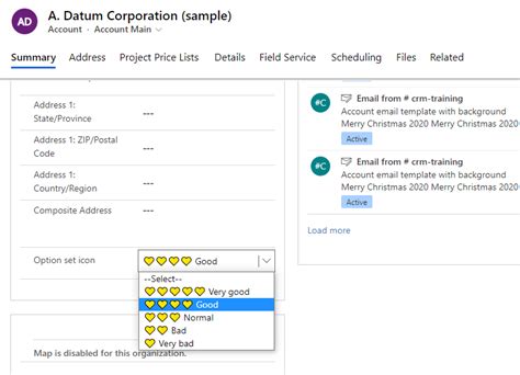 Crm Custom Entity Icons