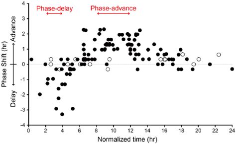 Phase Response Curve Prc Obtained With Scn Slice Cultures Stimulated Download Scientific
