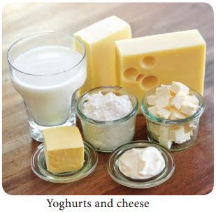 Dairy Microbiology NCERT MCQ