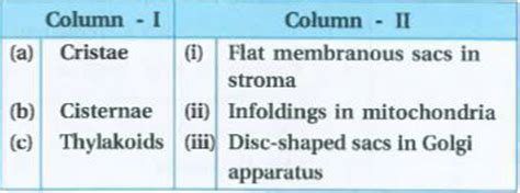 Section D Textual Exercise From Kumar Prakashan Kendra Biology Gujrati English Cell The