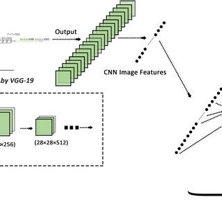 Detailed Experiment Scheme For UI User Preference Prediction Download Scientific Diagram