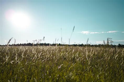 Uv Block • Ultraviolet Ray Protection Technology • Protection For