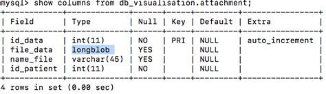 Database Why Type Data Long Blob In Mysql Read As Int8 In Data Explorer Matlab Stack