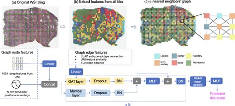 Combining Graph Neural Network And Mamba To Capture Local And Global