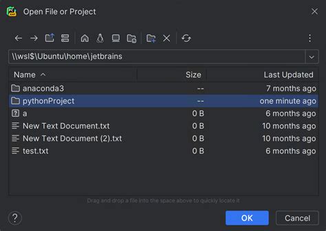 Configure An Interpreter Using WSL PyCharm Documentation