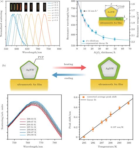 Ultrasensitive Nanosensors Based On Localized Surface Plasmon