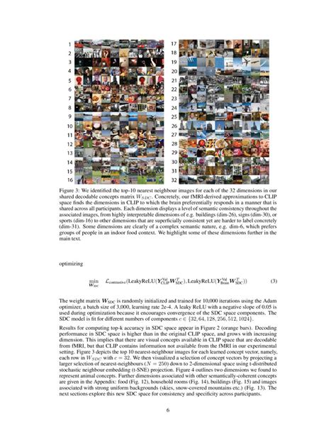 Identifying Shared Decodable Concepts In The Human Brain Using Image Language Foundation Models