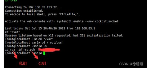 Jenkins 采用ssh方式连接gitlab连接不上jenkins Git Ssh Csdn博客