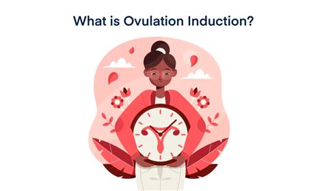 Ovulation Induction Benefits Process Side Effects Intercourse