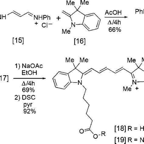 Synthesis Of The Methyl Cy5 Dye And Its Nhs Ester Download
