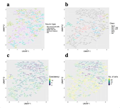 Results Of Wormtensor Utilizing T Distributed Stochastic Neighbor Download Scientific Diagram