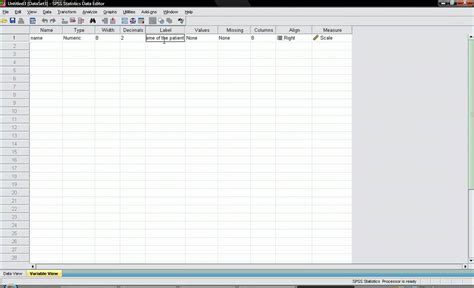 Spss Entering Data Clip 3 Youtube