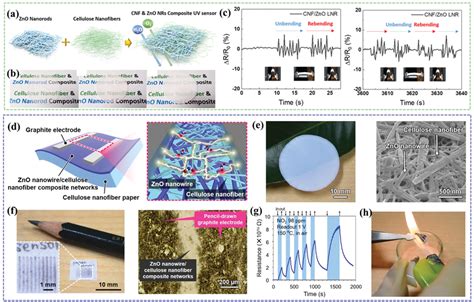 Application Of Nanocellulose‐derived Flexible Materials In Sensors A