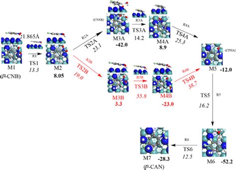 Structures Of The Intermediates And Transition States For The Steps Download Scientific Diagram