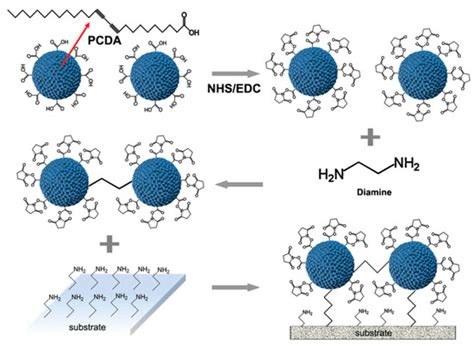 Recent Advances In Conjugated Polymer Based Biosensors For Virus Detection