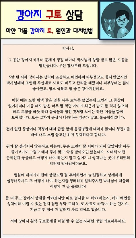 흰색 거품 토 원인은 무엇이고 뭘 어떻게 해야 하나요 대부분의 수의학박사 닥터엠의 강아지119