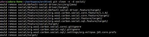 Define Howto Removing Git Untracked Files