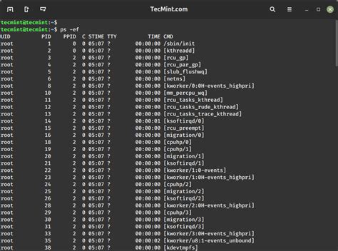 How To Kill A Process In Linux From Command Line Hosting Mate