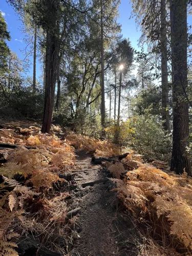 Best Hikes And Trails In Idyllwild Alltrails