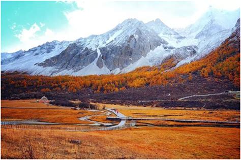 愿历经山河 仍觉人间值得出自哪里 知晓星球