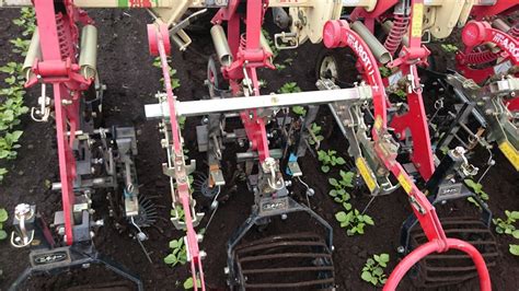 小豆草カルチさやいんげんNCK 農作業日報