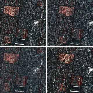 Different Segmentation Results From Histogram Manipulated Images Using Download High