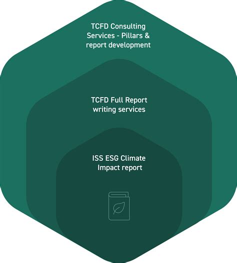Tcfd Infographic Iss
