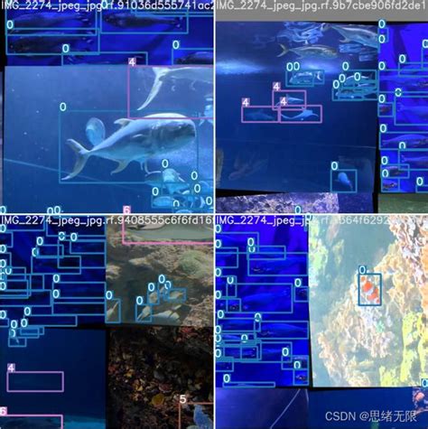 基于深度学习的海洋动物检测系统Python YOLOv 清新界面 阿里云开发者社区