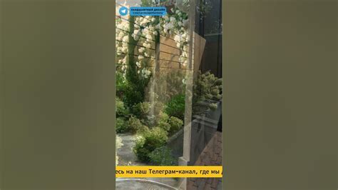 Ландшафтный дизайн фото идеи😉 дачасвоимируками идеидлядачи дизайнучастка ландшафтныйдизайн