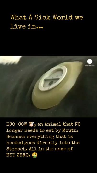 Ashish Saini アシーシ•セニ On Linkedin The Caption Is A False Narrative Heres The Truth