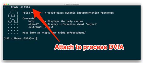 Bypass Jailbreak Detection With Frida In IOS Applications