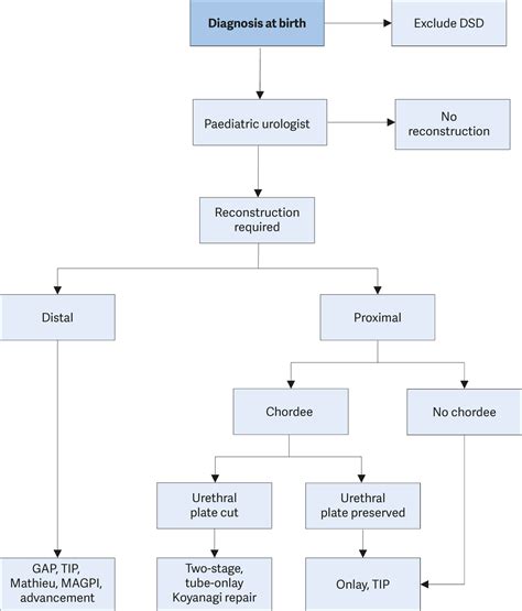 Paediatric Urology THE GUIDELINE Uroweb