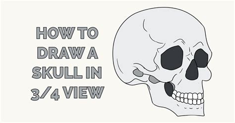 How To Draw A Skull In 3 4 View Really Easy Drawing Tutorial