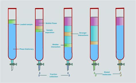 Chromatography Principle Types Uses And History
