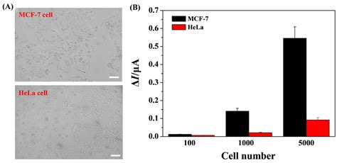 Biosensors Free Full Text Hybridization Chain Reaction Based