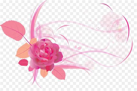 розовый цвет на прозрачном фоне 30 фото